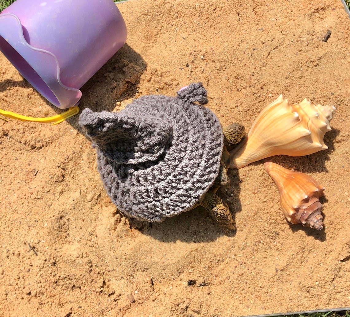 Tortoise Shark Sweater | Etsy