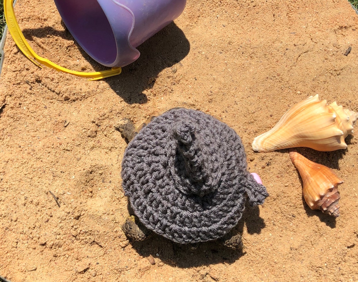 Tortoise Shark Sweater | Etsy