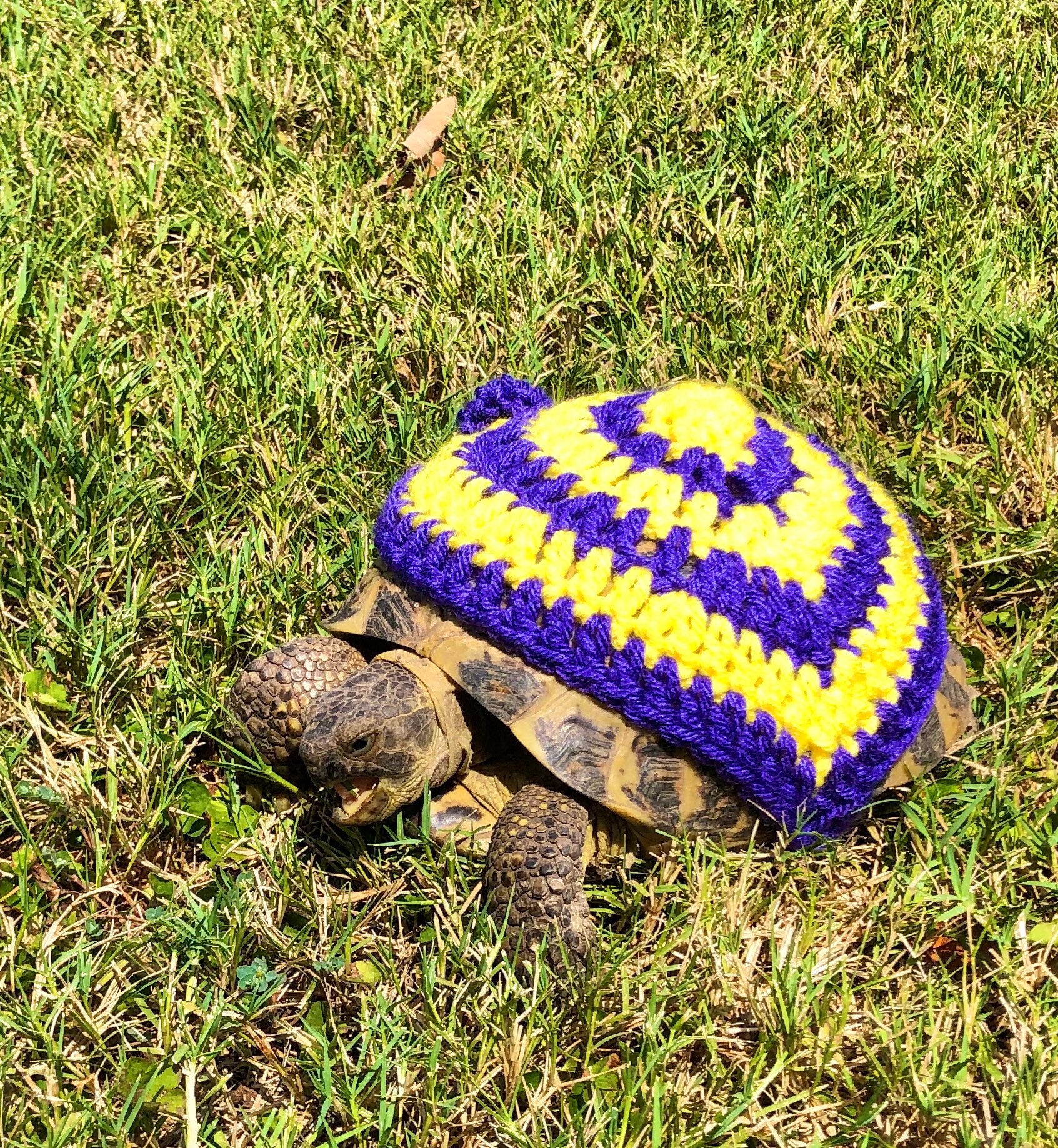 Tortoise Sweaters-Target Pattern turtle costume pet costume | Etsy