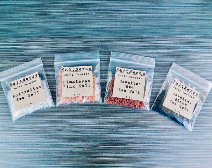 Salty Sampler 4 Pack • Saltnerds Collection • Gourmet Salt Gift Set ...