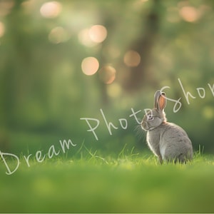 Spring Digital Backdrop, Rabbit Digital Background, Spring Meadow ...