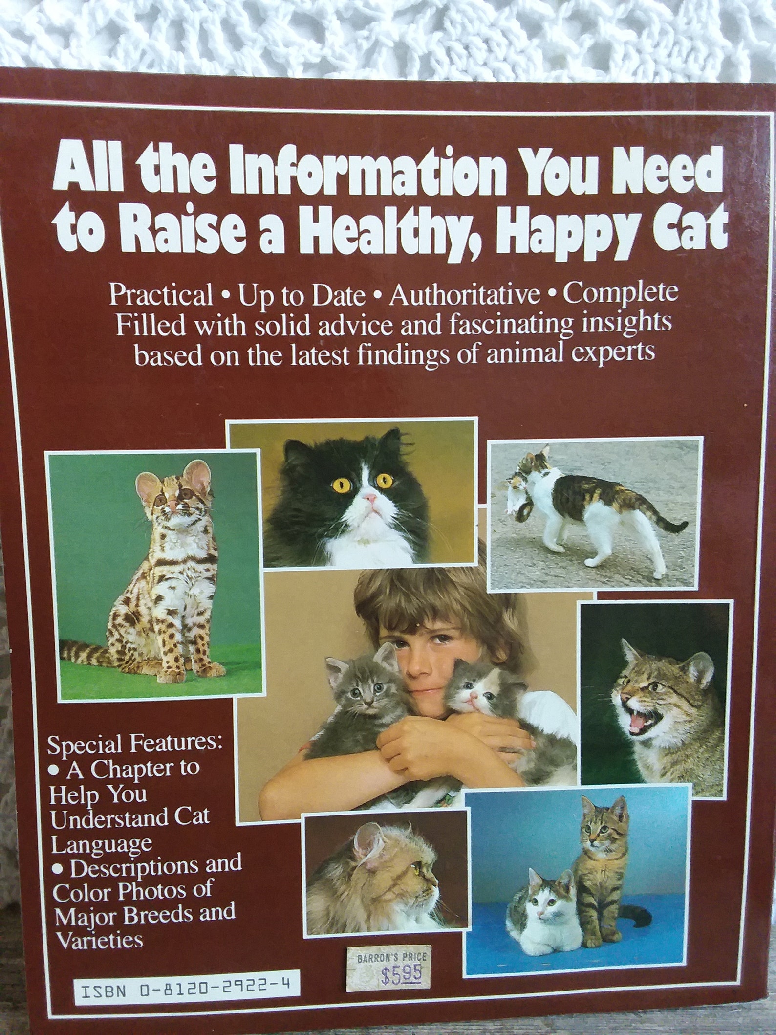 Cat Handbook Cat Record Book Vintage Record Book Kitten | Etsy