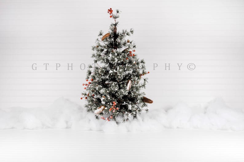 Christmas Digital Backdrop - Etsy