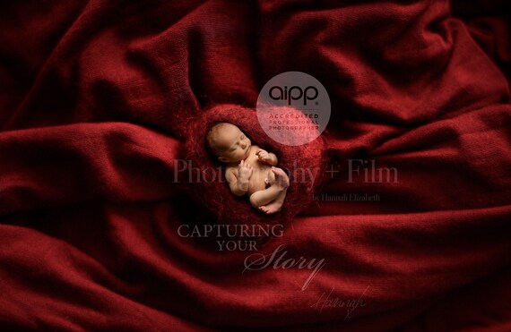 3 Newborn CHRISTMAS DIGITAL BACKGROUND Red Green Teal - Etsy