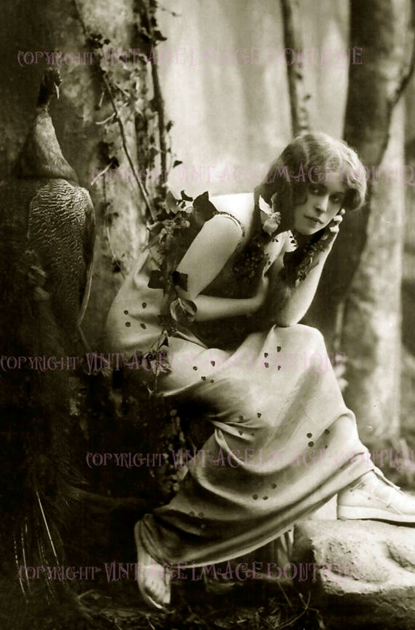 Wonderful Antique Photo Portrait of A Lovely Coquette Posing With A ...