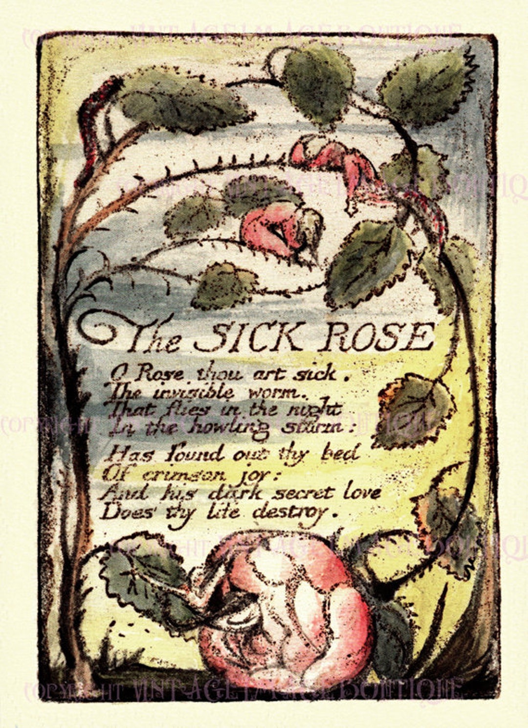 Late 18th Century Illuminated Poem, the Sick Rose by English Painter ...