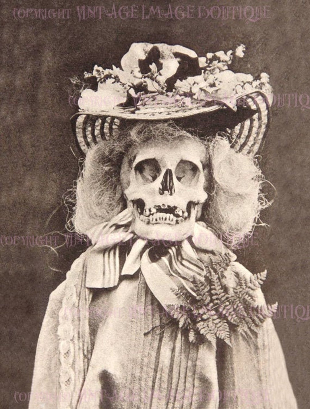 Antique Macabre Sepia Photograph of A Female Skeleton in an Elaborate ...