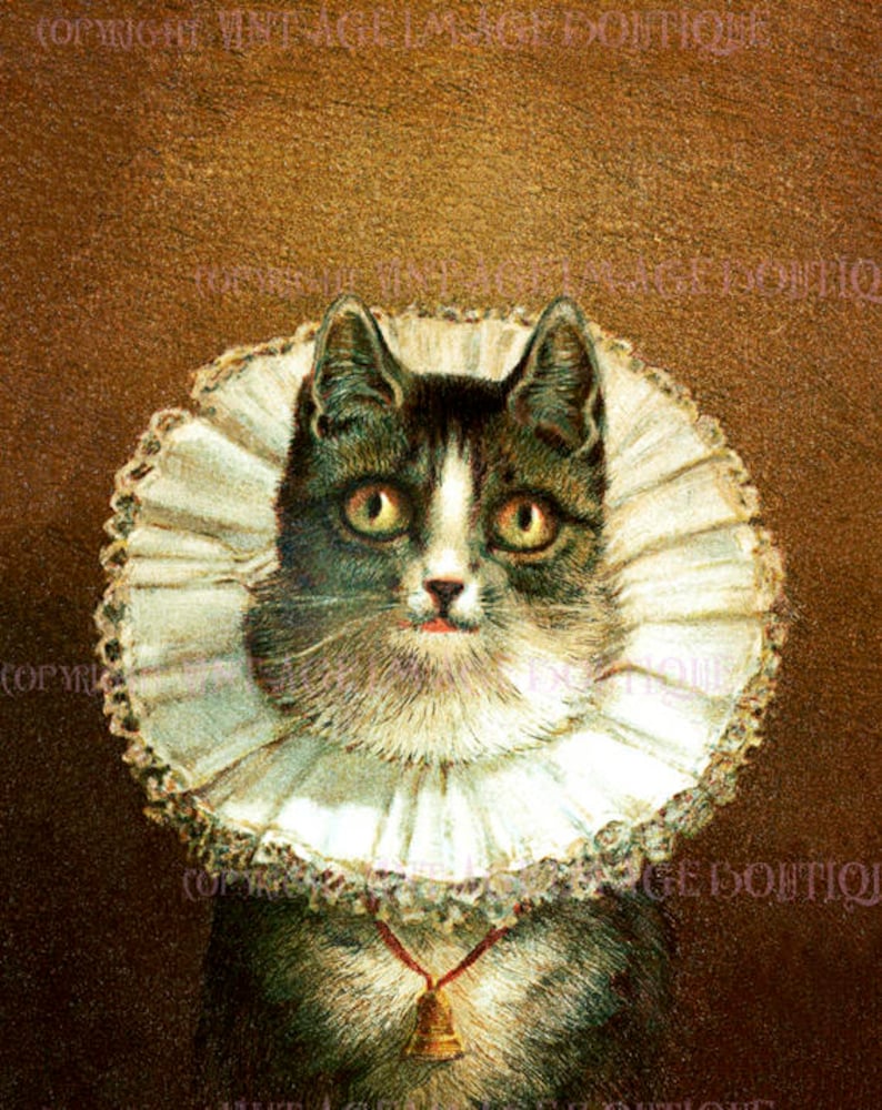 Antique Victorian Portrait of A Lovely Kitty Cat Wearing an - Etsy UK