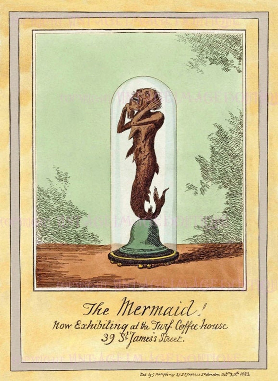 Antique Georgian Illustration for an Exhibition of the First Fiji ...