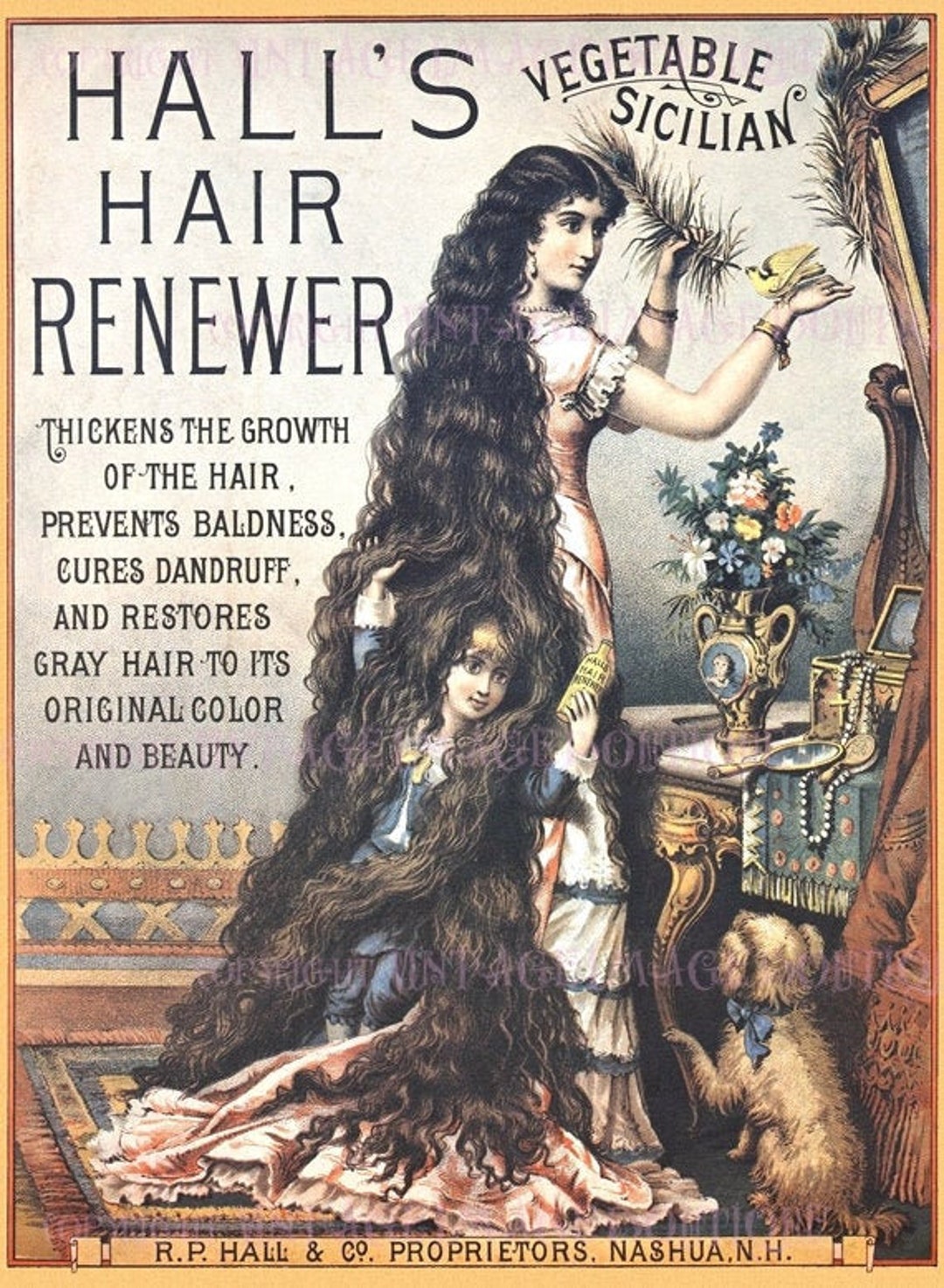 Antique Victorian Quack Medicine Advertisement for Hall's Hair Renewer ...