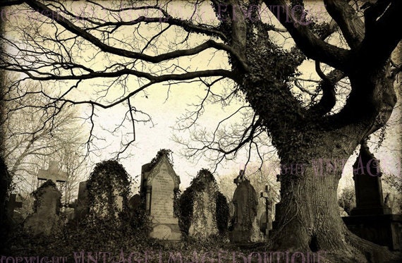 Lovely Vintage Evocative Gothic Mourning Photograph of an - Etsy