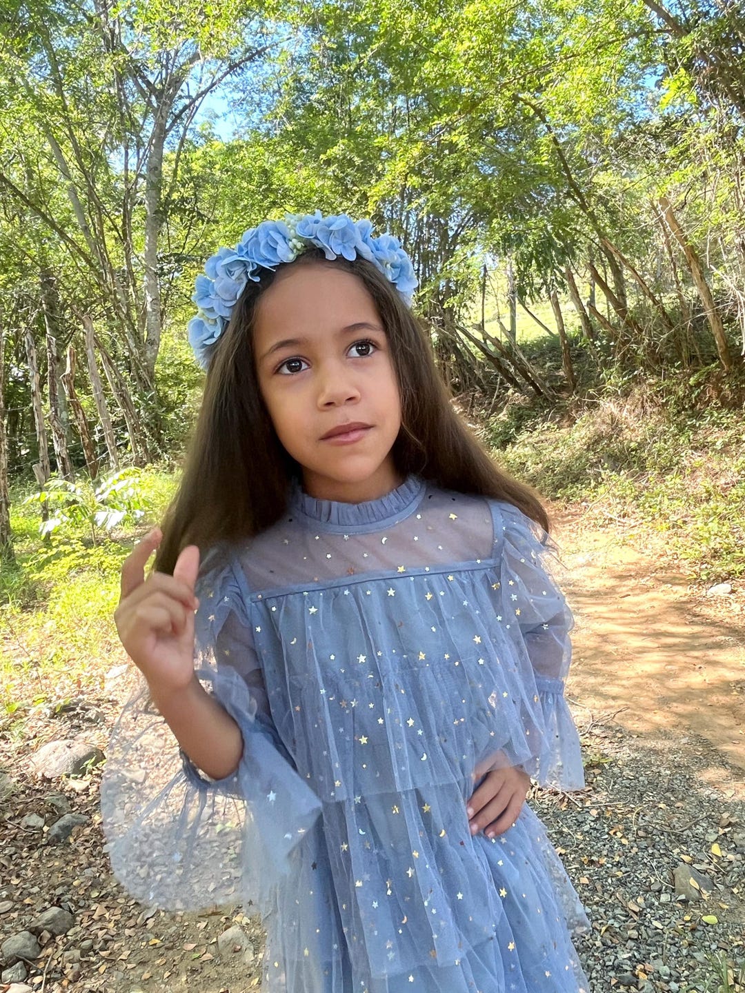 Blue Real Touch Hydrangea Crown for Girl, Floral Crown for Head, Floral ...