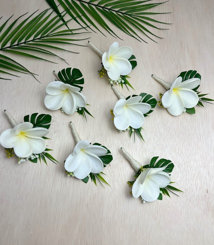 Cream Ivory Plumeria Boutonniere for Groom and Groomsmen, Wedding ...