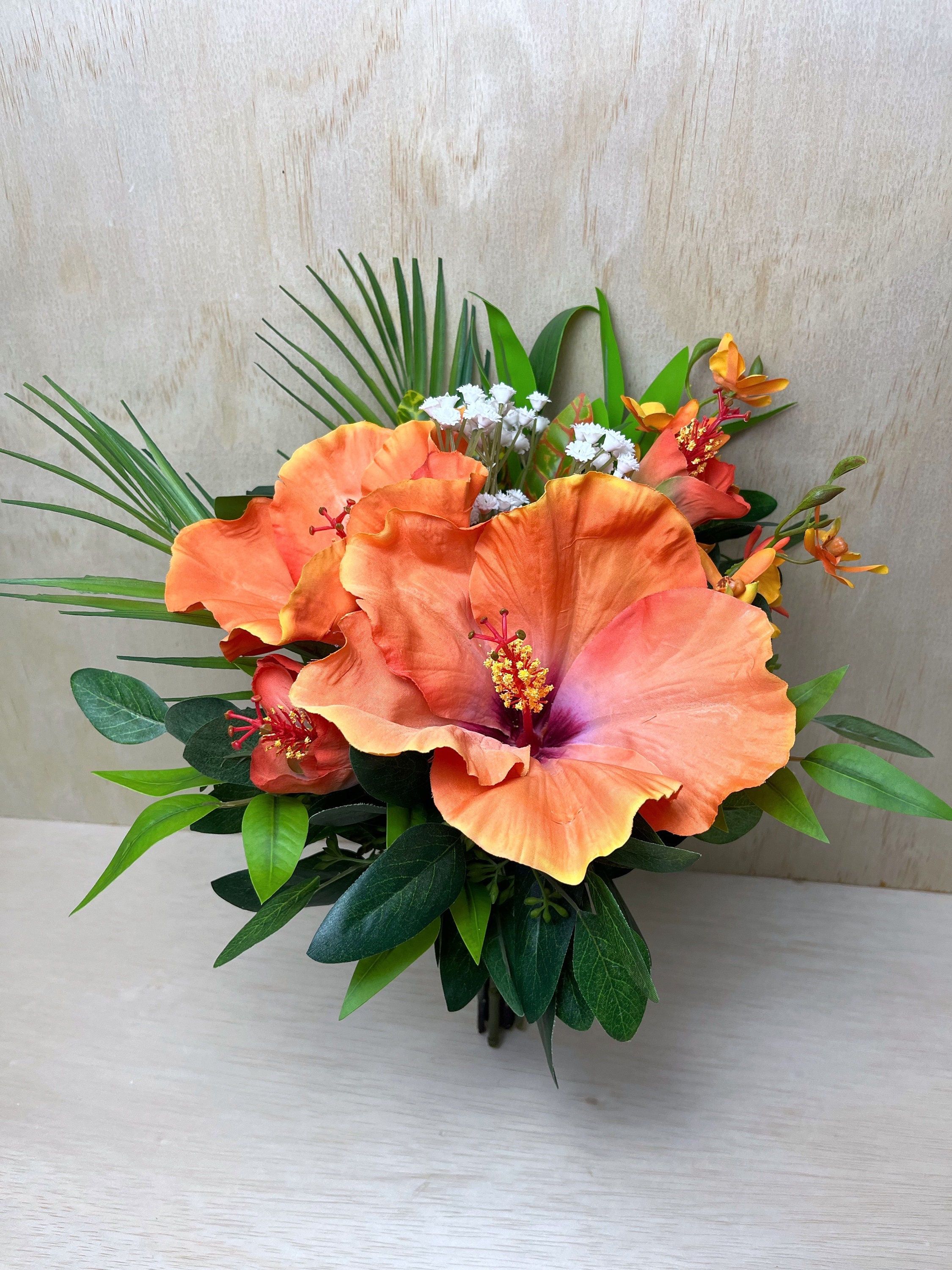 Hibiscus Orange Centerpiece Wekiva Foliage Hibiscus Fiesta Tree Live