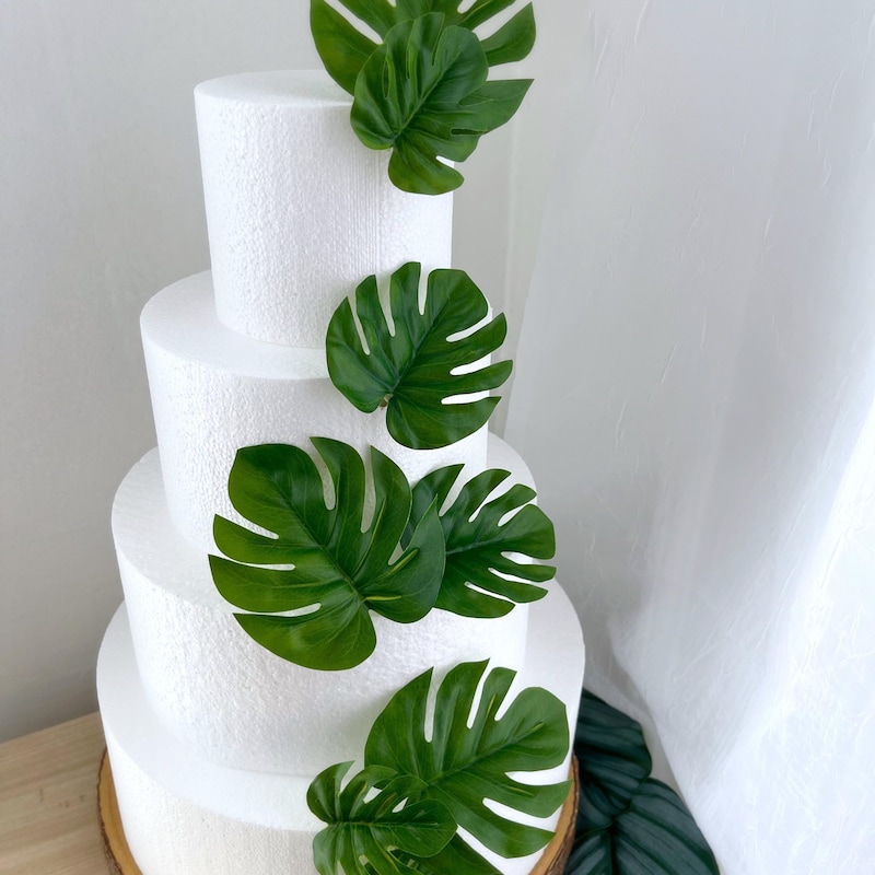 Monstera Leaf Cake - Etsy