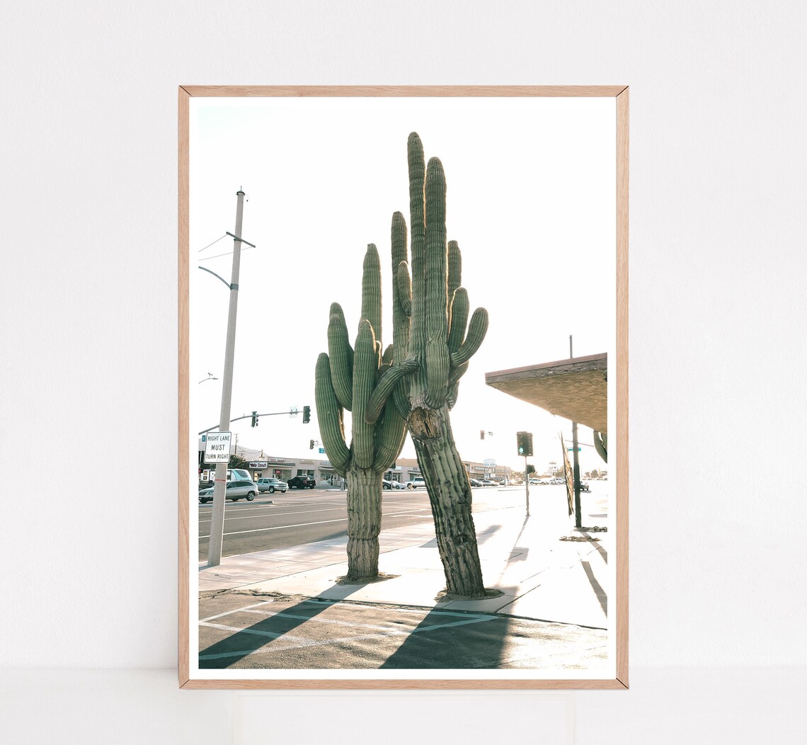 Saguaro Print Cactus Wall Art Cactus Poster Southwestern - Etsy