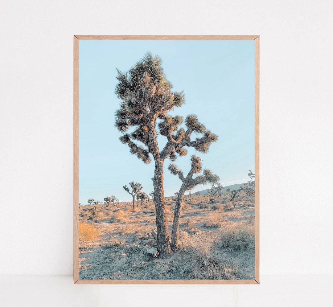 Joshua Tree Poster, National Park Print, Mojave Desert, Travel ...