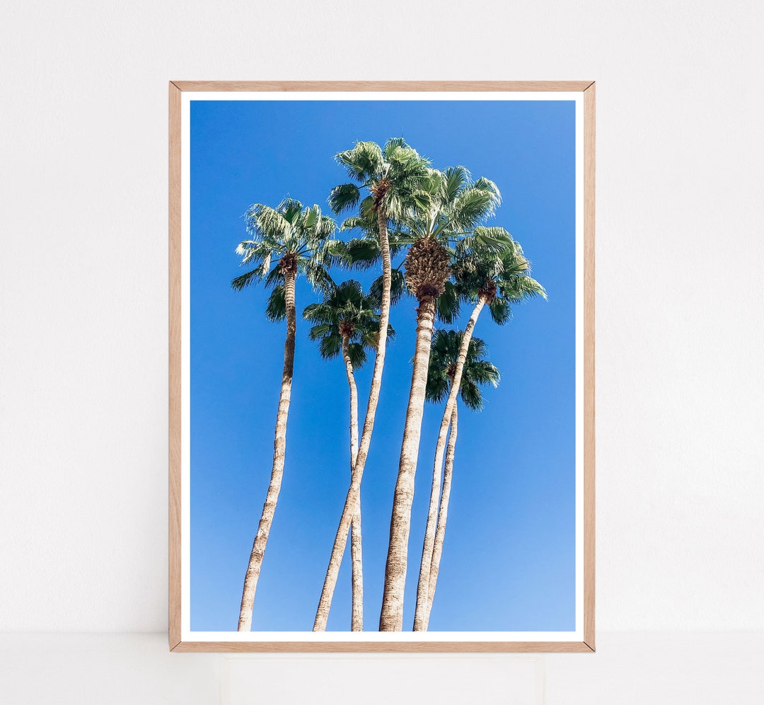 Palm Tree Poster, Tropical Palm Print, Travel Poster, Botanical Print ...