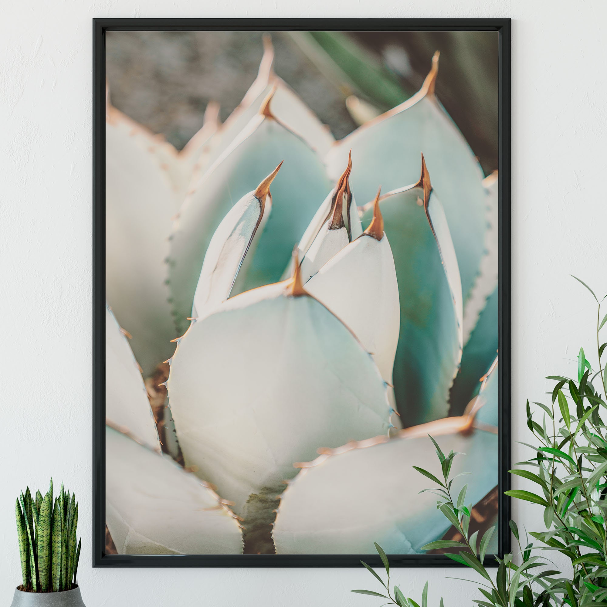 Succulent Poster Aloe Vera Print Minimalist Poster Plant | Etsy