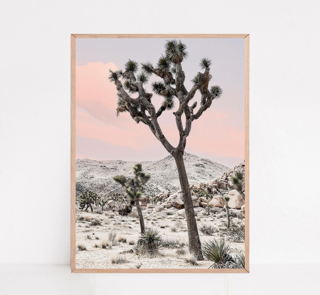Pink Joshua Tree Print, Mojave Desert, Boho Wall Art, National Park ...