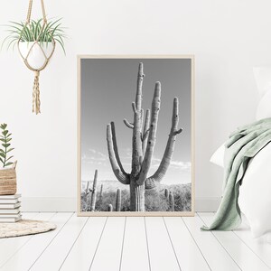 Black and White Cactus Poster, Cactus Art Print, Southwestern Decor ...