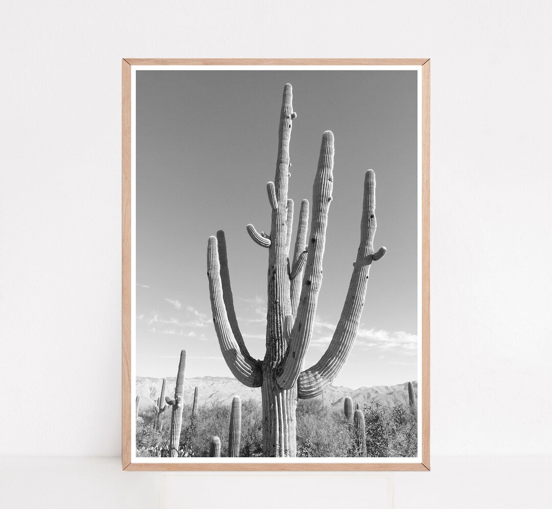 Black and White Cactus Poster, Cactus Art Print, Southwestern Decor ...