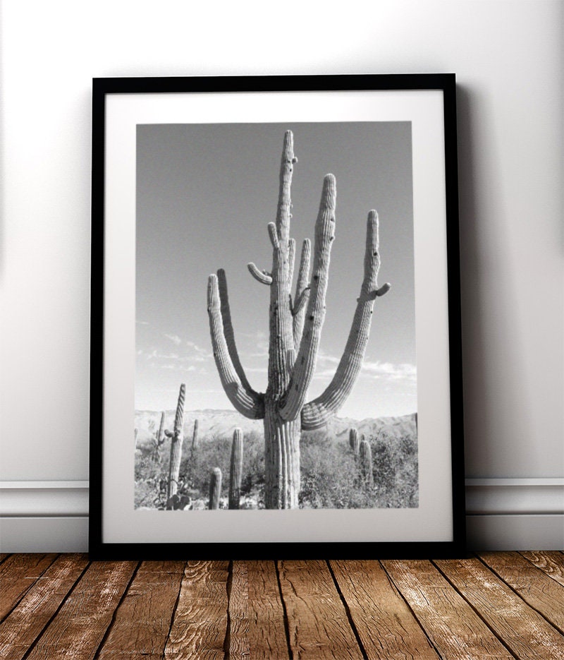 Black and White Cactus Poster Cactus Art Print Southwestern | Etsy