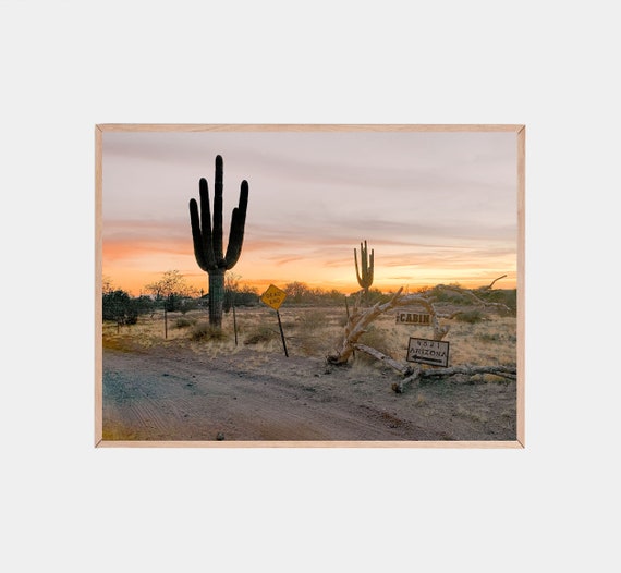 Cactus Poster Pastel Wall Art Desert Photography Digital | Etsy
