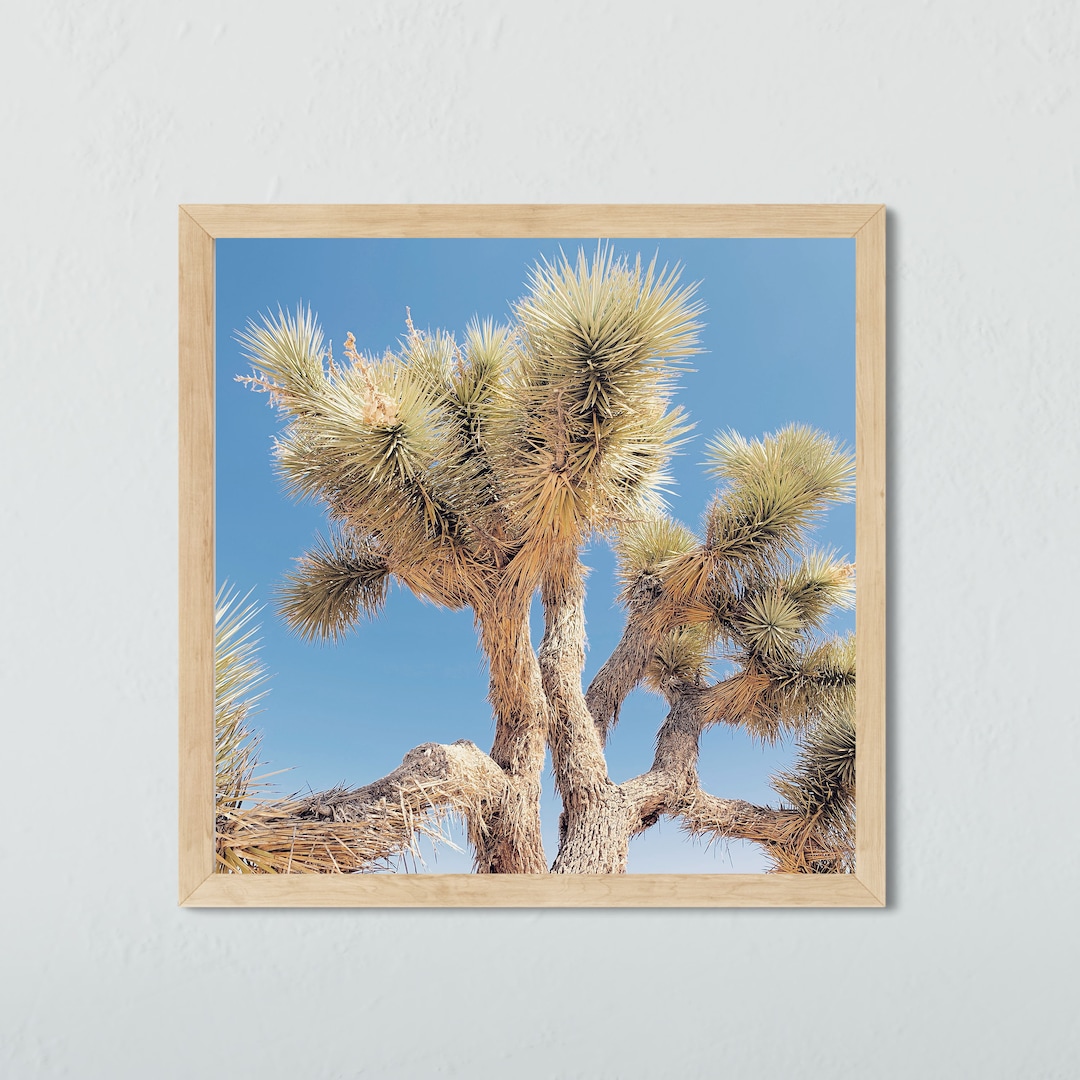 Joshua Tree Print, Designer Wall Art, Mojave Desert, Square Poster ...