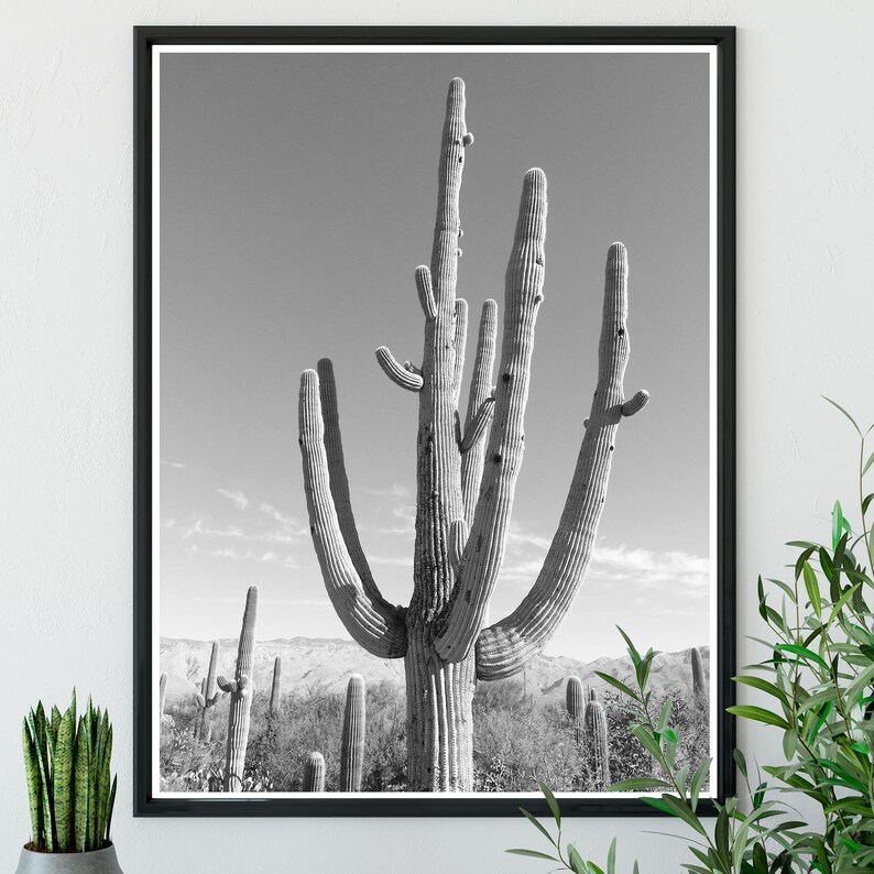 Black and White Cactus Poster, Cactus Art Print, Southwestern Decor ...
