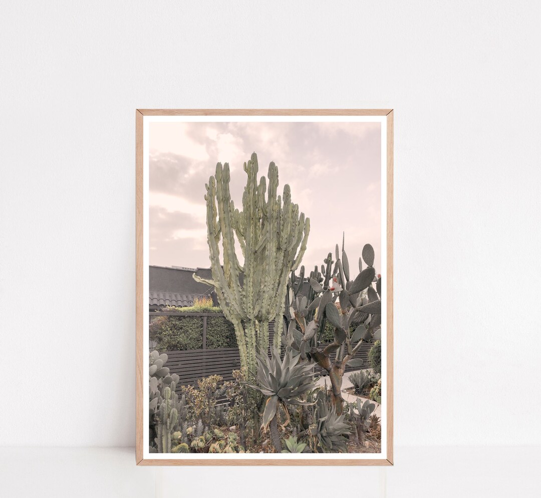 Cactus Poster, Cacti Art Prints, Boho Wall Decor, Botanical Prints, Los ...