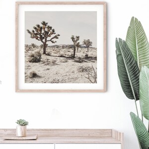 Joshua Tree Print, Southwest Decor, Desert Photography, California ...