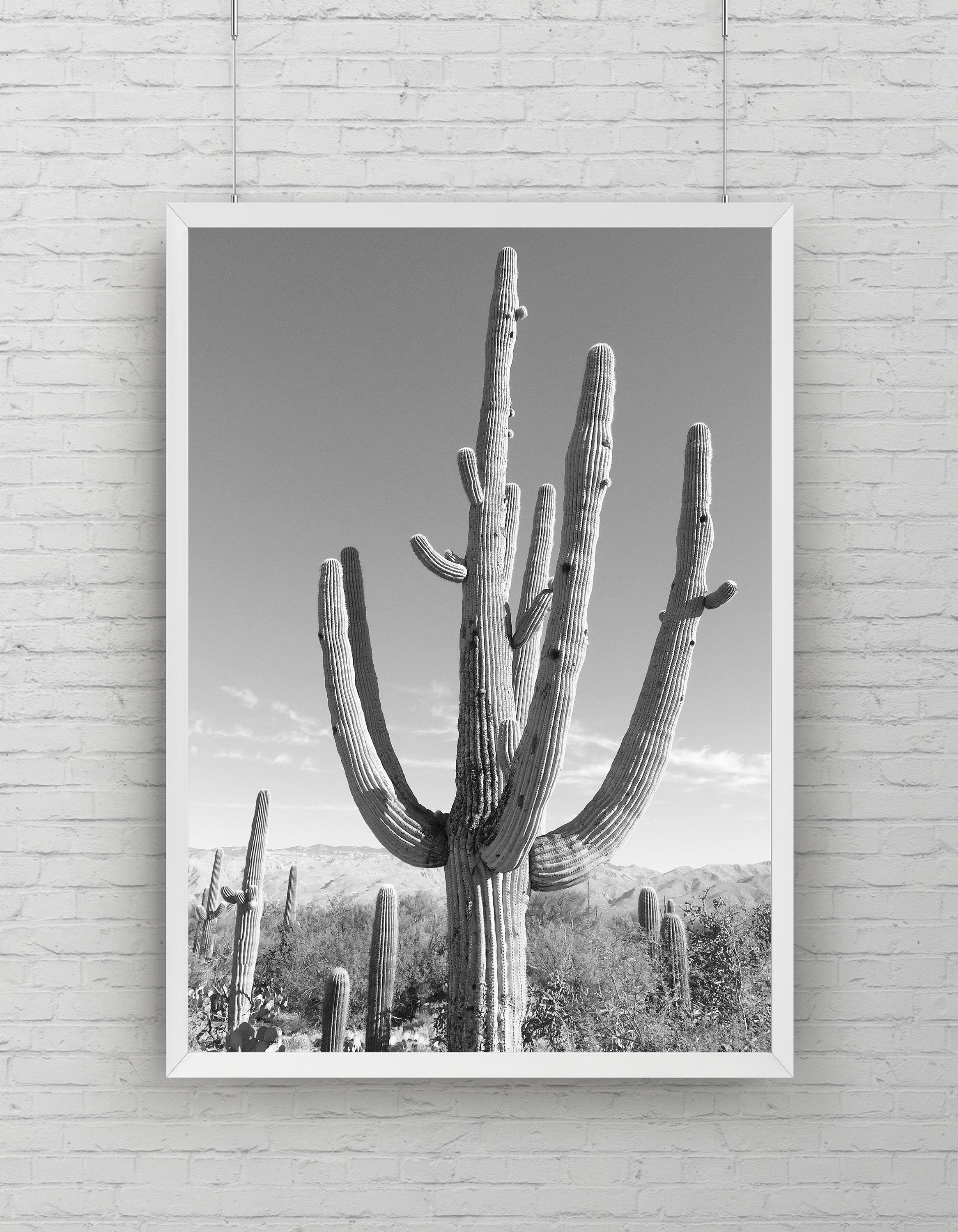 Black and White Cactus Poster Cactus Art Print Southwestern | Etsy