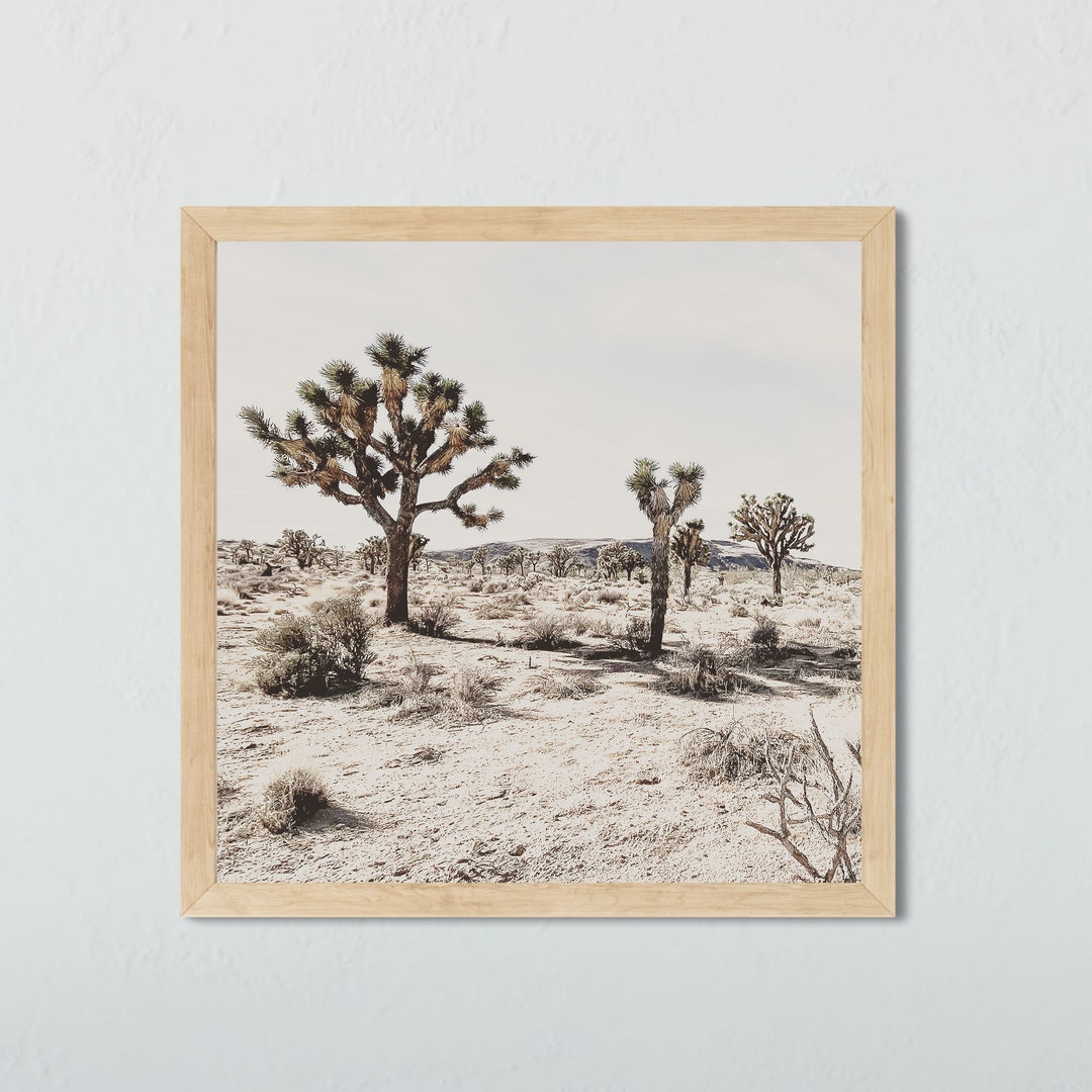 Joshua Tree Print, Southwest Decor, Desert Photography, California ...