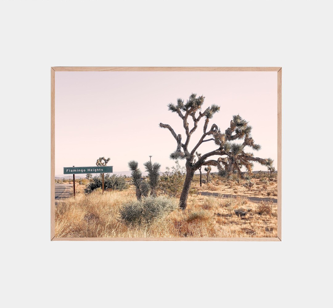 Joshua Tree Print, Mojave Desert Scenic Poster, California Wall Art ...