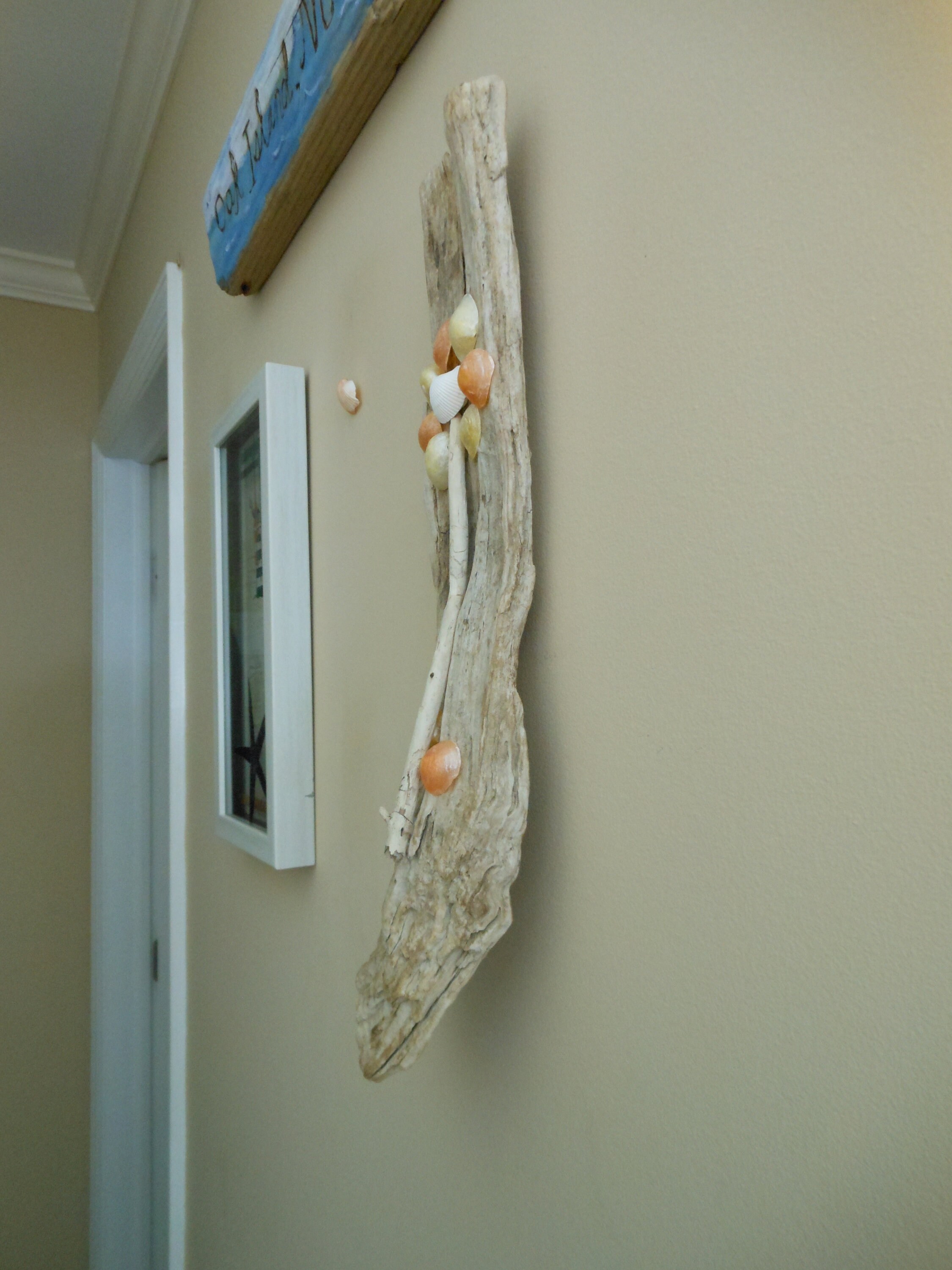 Driftwood and Shell Wall Art Jingle Shell Flower on - Etsy