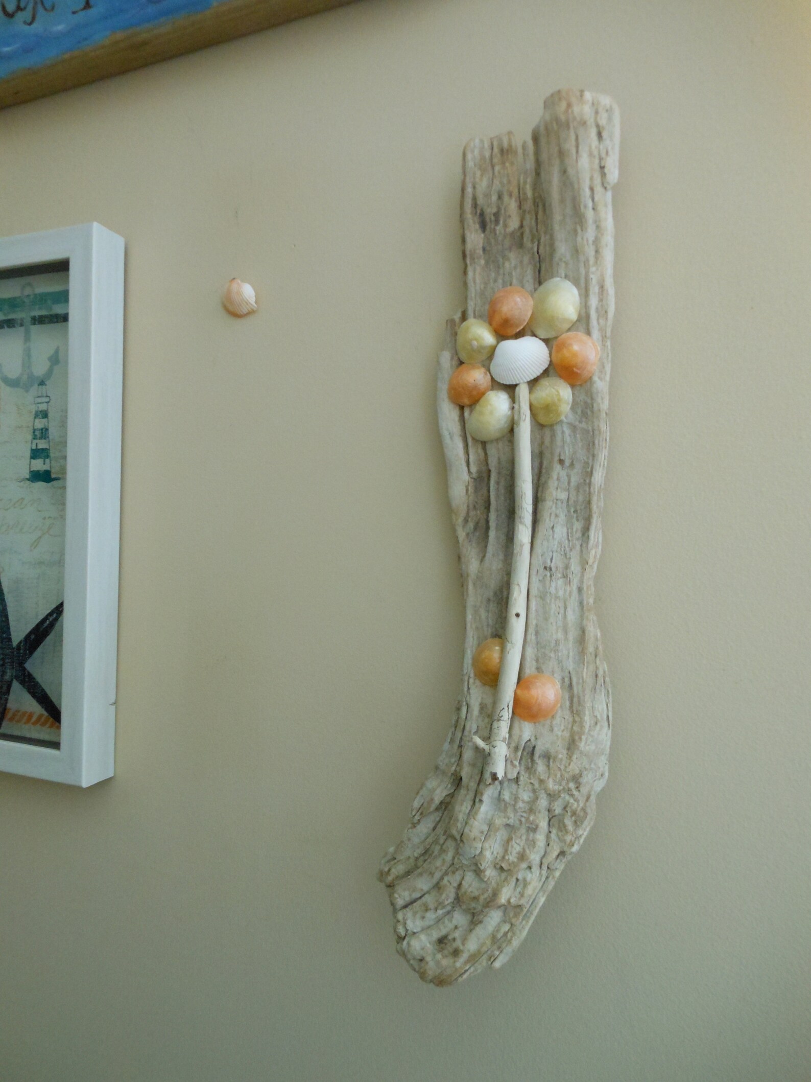 Driftwood and Shell Wall Art Jingle Shell Flower on - Etsy