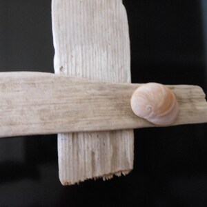 Driftwood and Seashell Magnetic Picture Frame Refrigerator Magnet ...