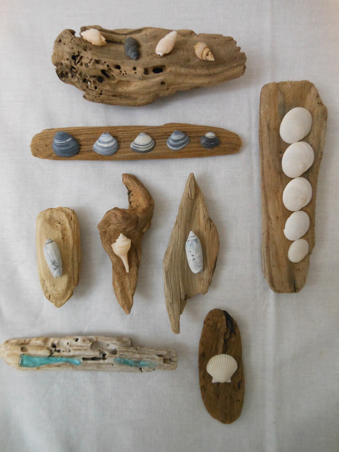 Driftwood and Seashell Fridge Magnets | Shells and Driftwood From ...