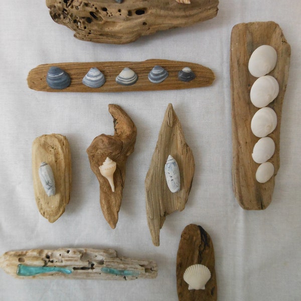 Seashell Magnets - Etsy