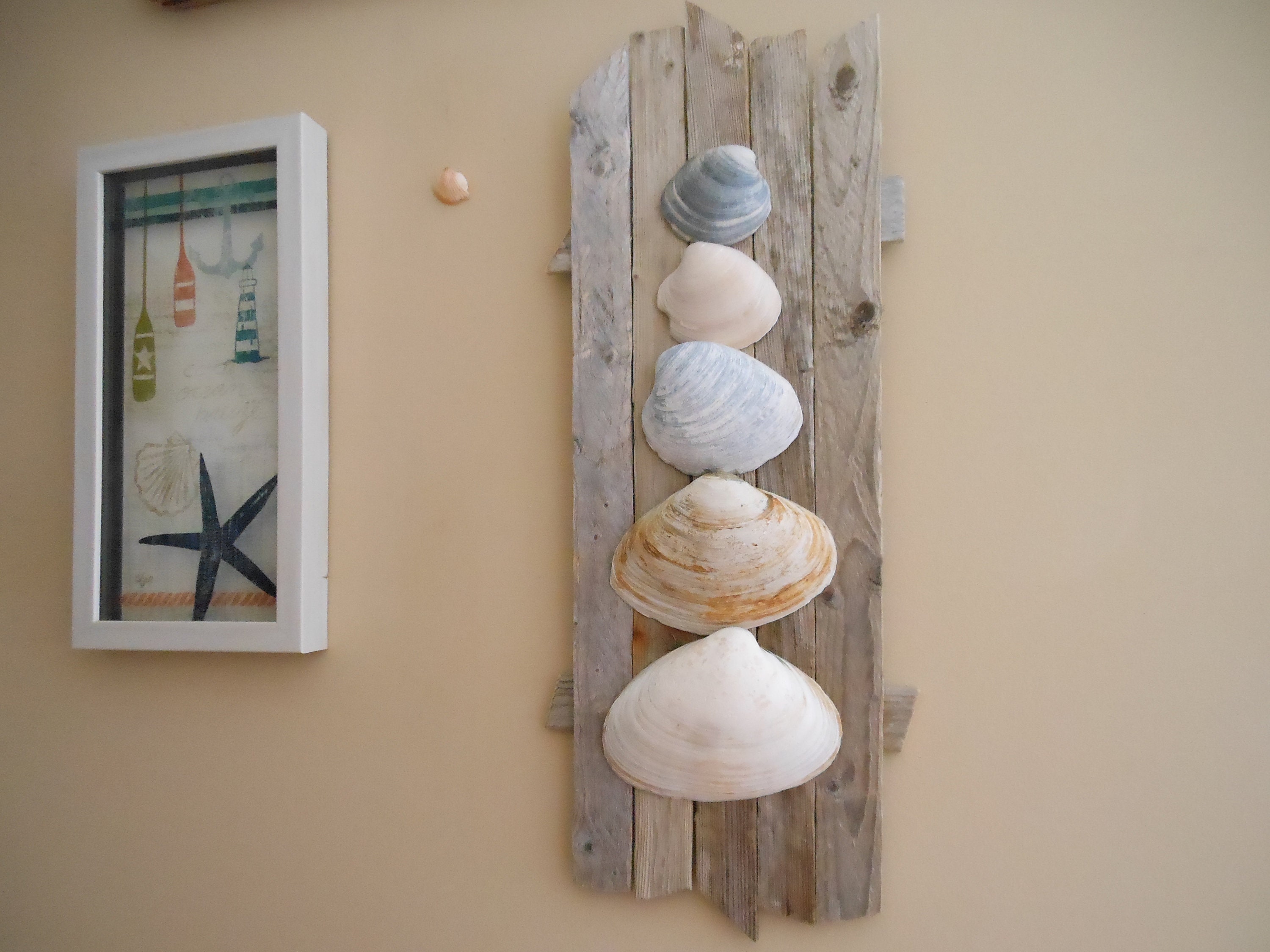 Quahog Clam Shells and Driftwood Wall Art Beach Decor | Etsy