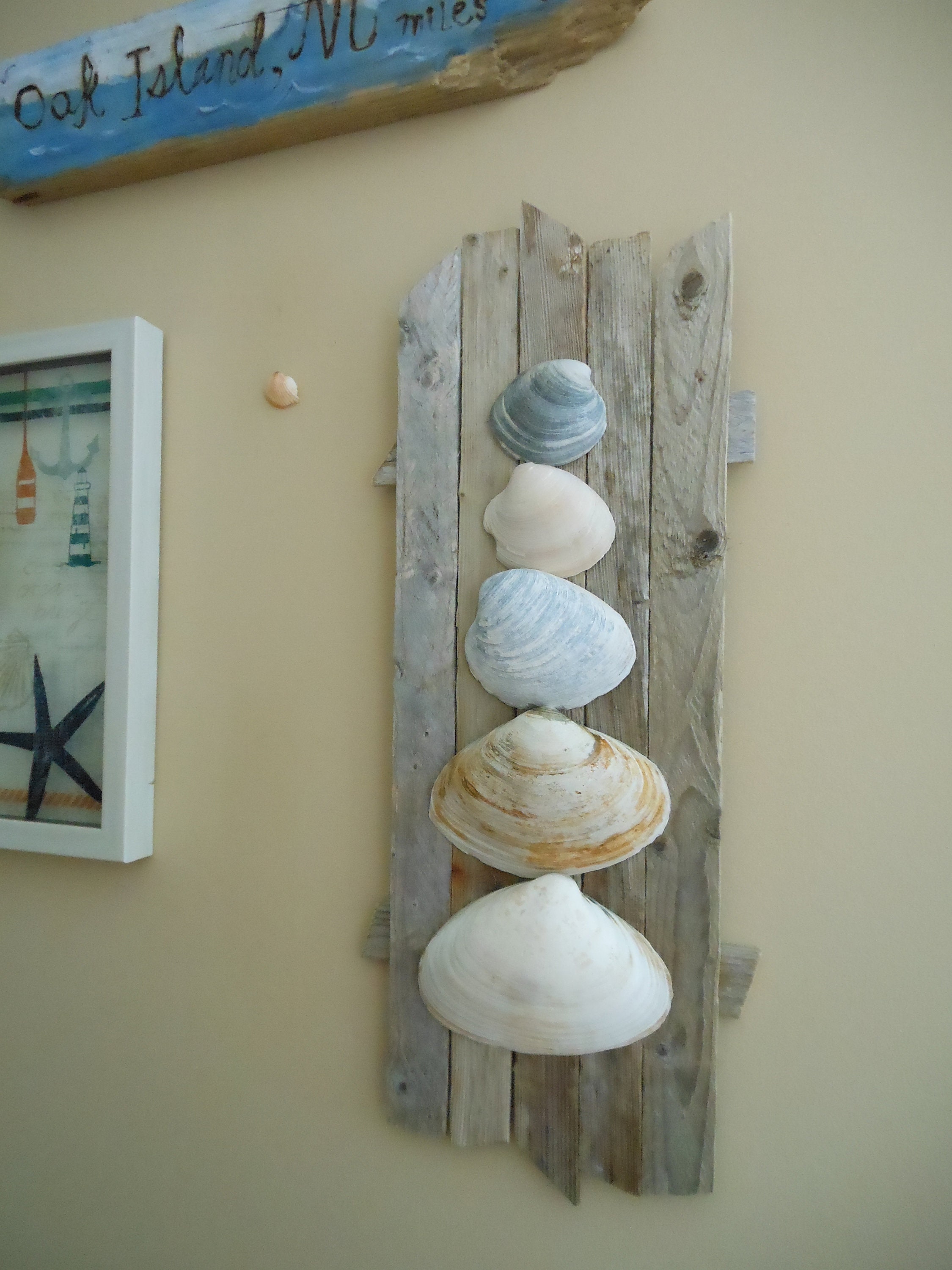 Quahog Clam Shells and Driftwood Wall Art Beach Decor | Etsy