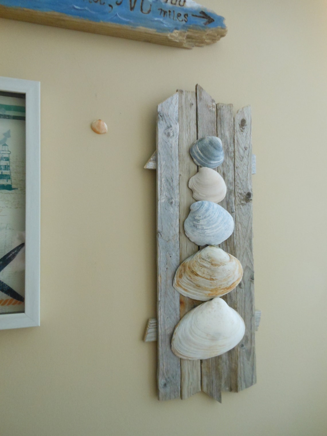 Quahog Clam Shells and Driftwood Wall Art Beach Decor | Etsy