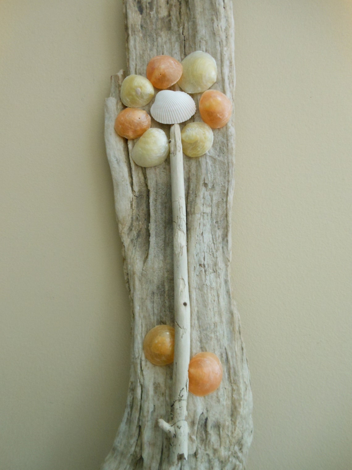 Driftwood and Shell Wall Art Jingle Shell Flower on - Etsy