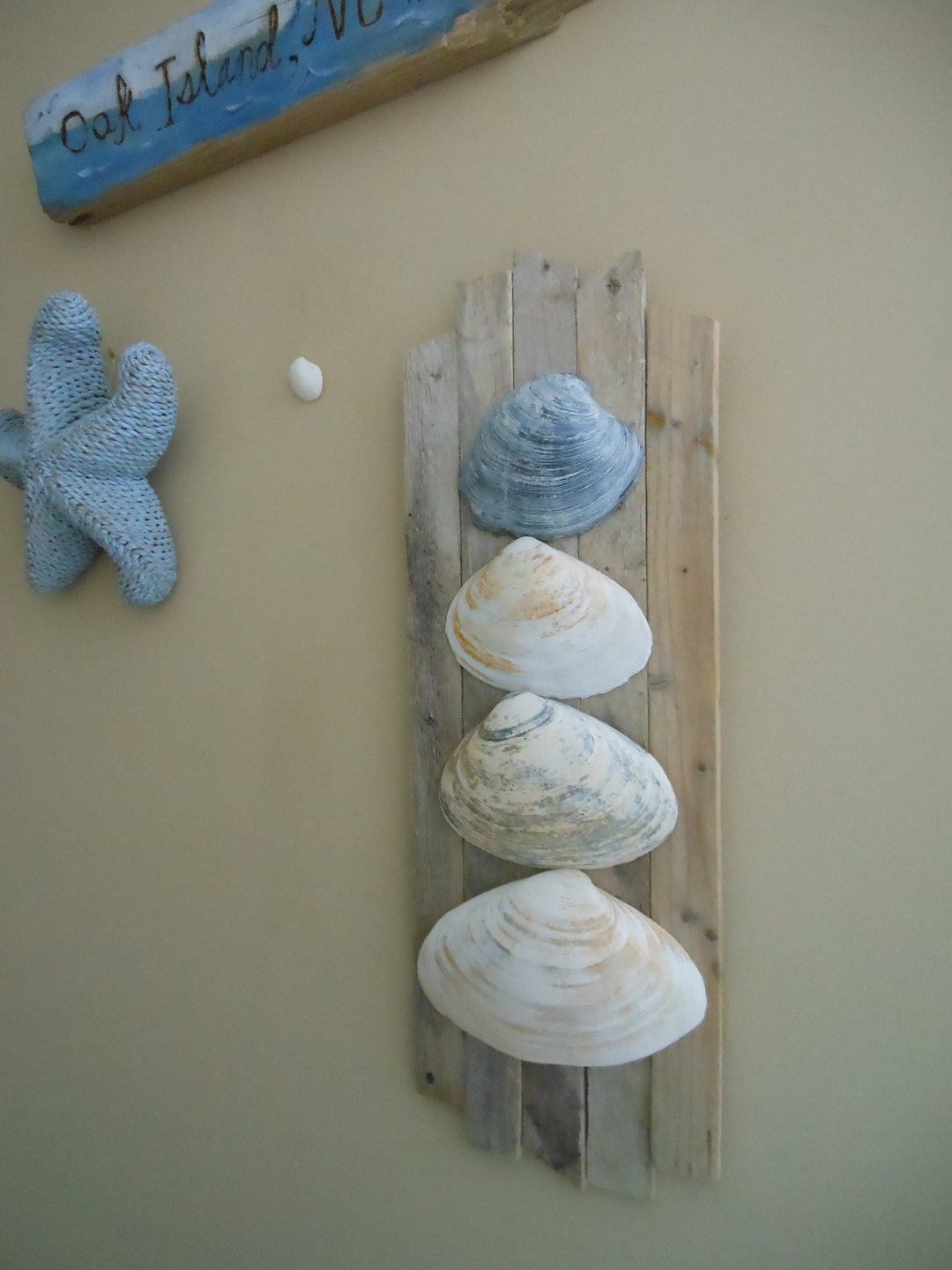 Quahog Clam Shells and Driftwood Wall Art Beach Decor - Etsy