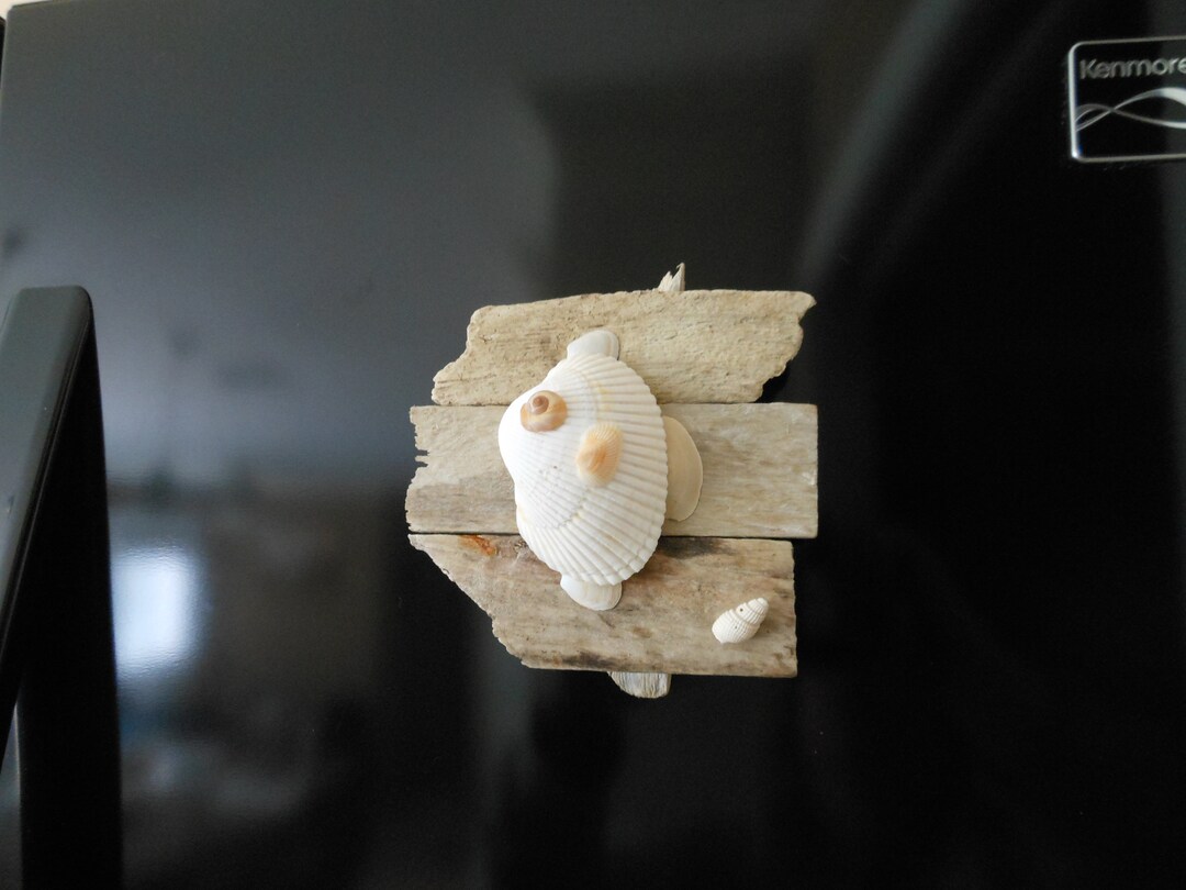 Shell & Driftwood Refrigerator Magnet little Fishy Beach Creation ...