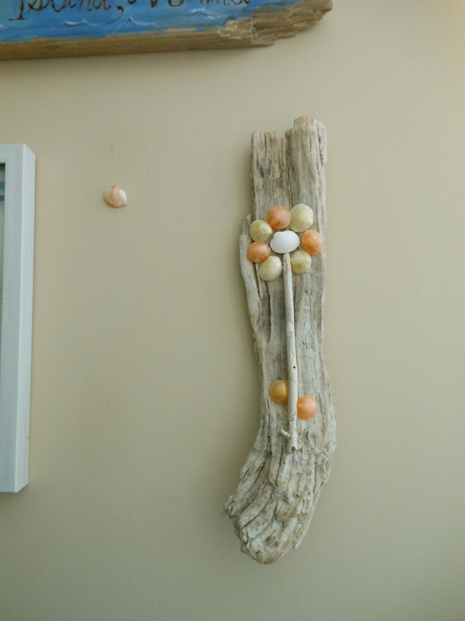 Driftwood and Shell Wall Art Jingle Shell Flower on - Etsy