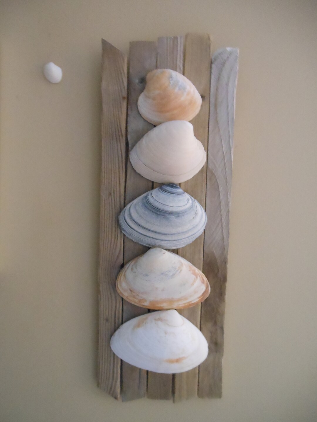 Driftwood Wall Art With Large Quahog Clam Shells | Hamptons NY ...