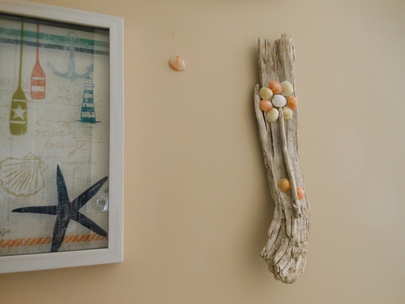 Driftwood and Shell Wall Art Jingle Shell Flower on - Etsy