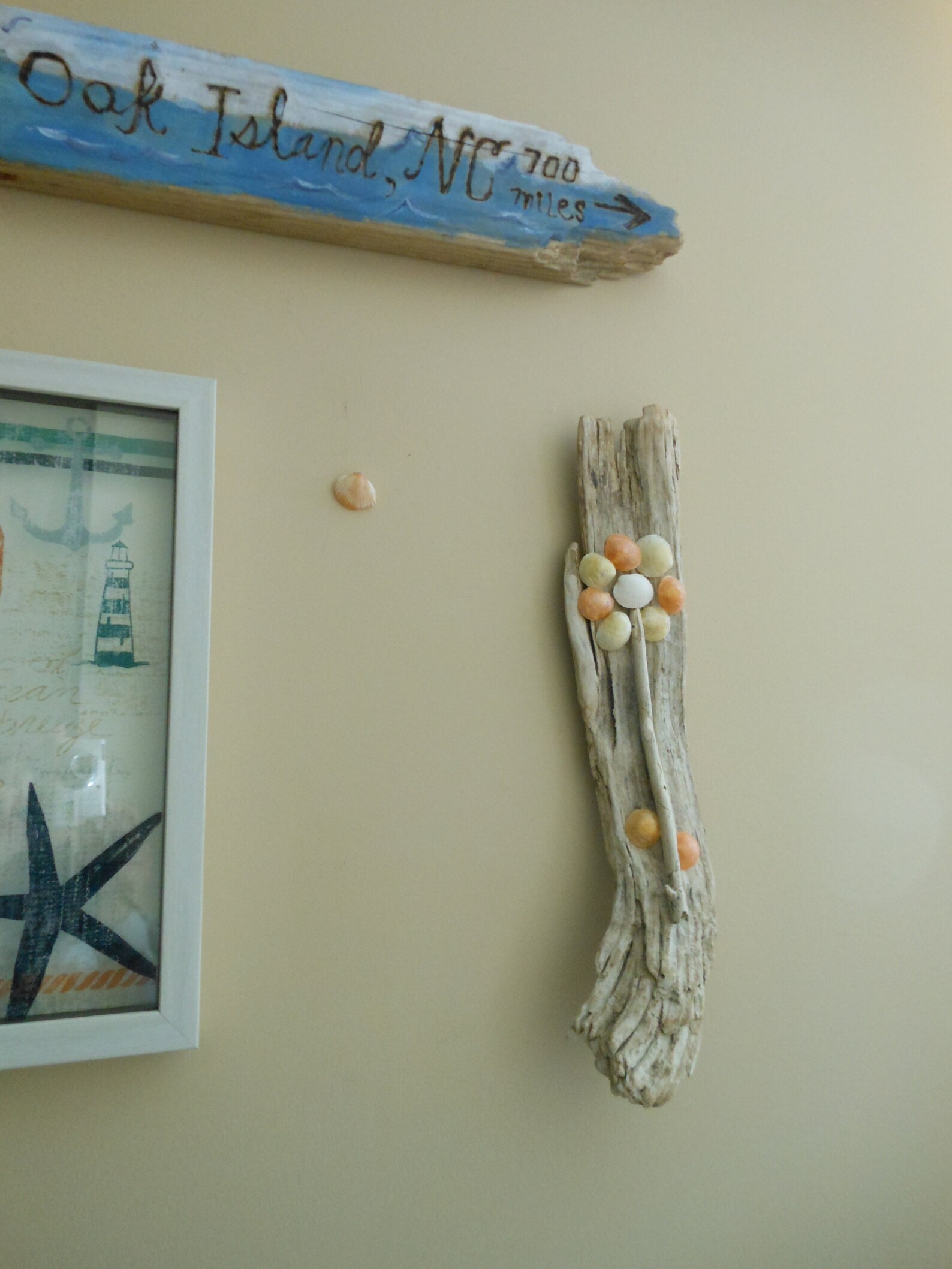 Driftwood and Shell Wall Art Jingle Shell Flower on - Etsy